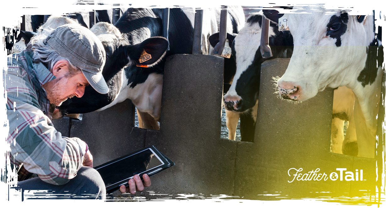 Smart Feeding: Using Tech to Track Animal Health – Feather & Tail